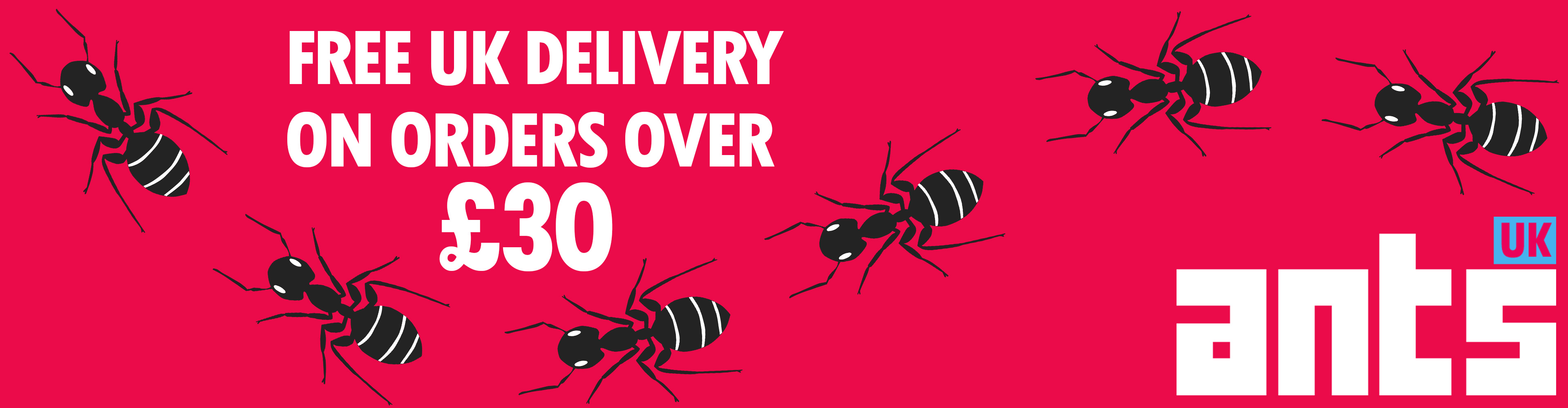 ANT_BANNER_1 – Ants UK