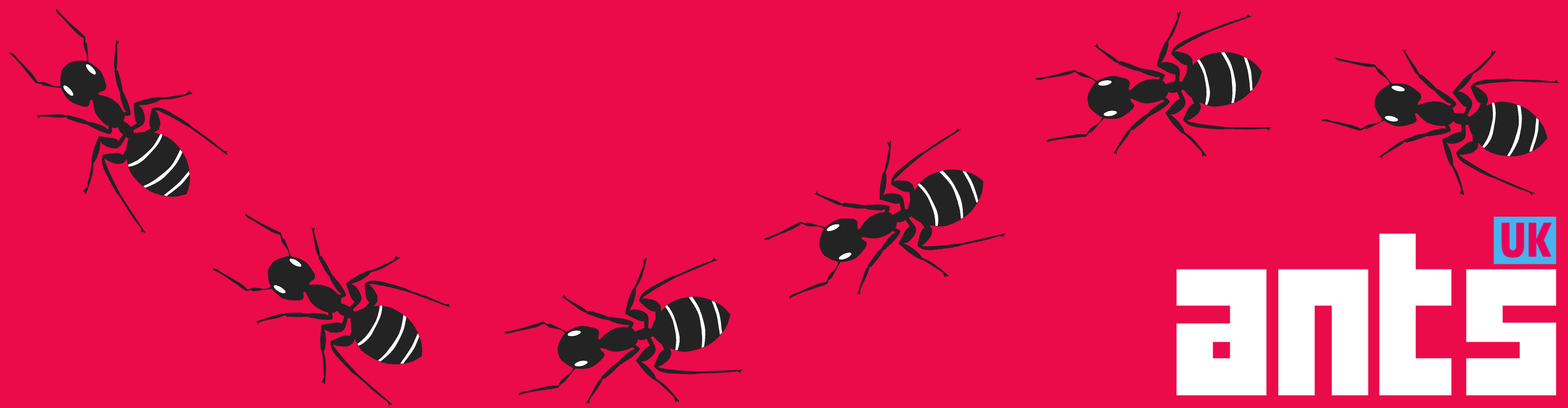 ANT_BANNER_1 – Ants UK