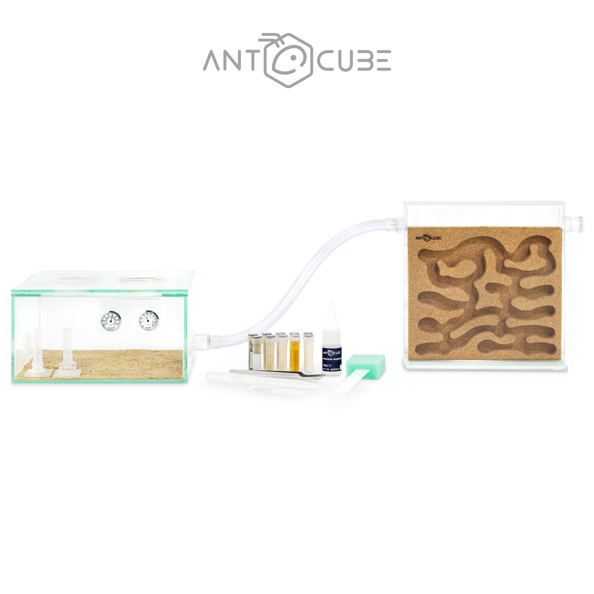 Starter Set Cork – Ants UK